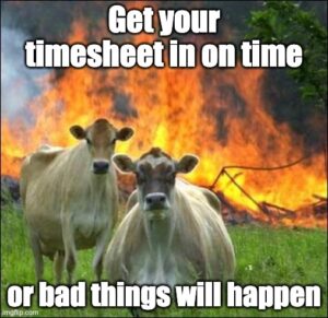 140 Funny Payroll and Timesheet Memes