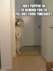 140 Funny Payroll and Timesheet Memes