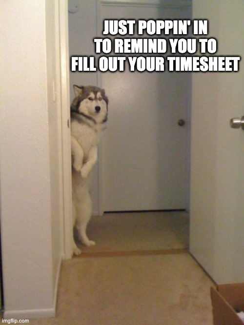 140 Funny Payroll and Timesheet Memes in 2024