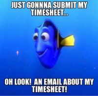 140+ Best Timesheet & Payroll Memes