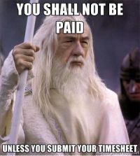 140+ Best Timesheet & Payroll Memes