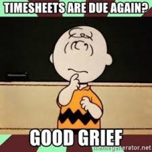 50+ Best Timesheet & Payroll Memes