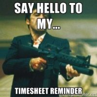 140+ Best Timesheet & Payroll Memes