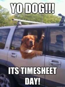 50+ Best Timesheet & Payroll Memes