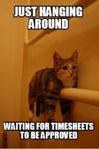 140+ Best Timesheet & Payroll Memes